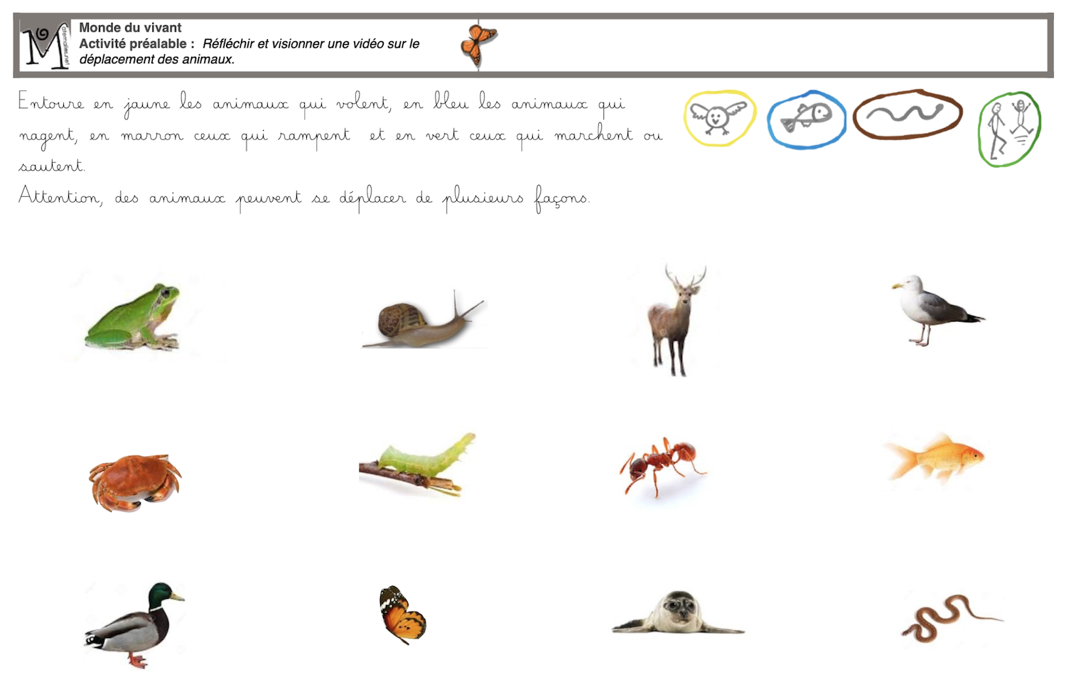 Escargots et jardin – Maternailes